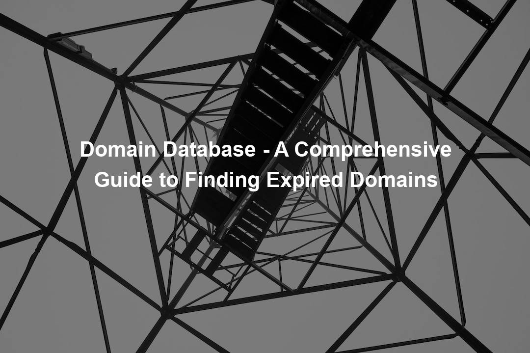 Domain Database – A Comprehensive Guide To Finding Expired Domains 
