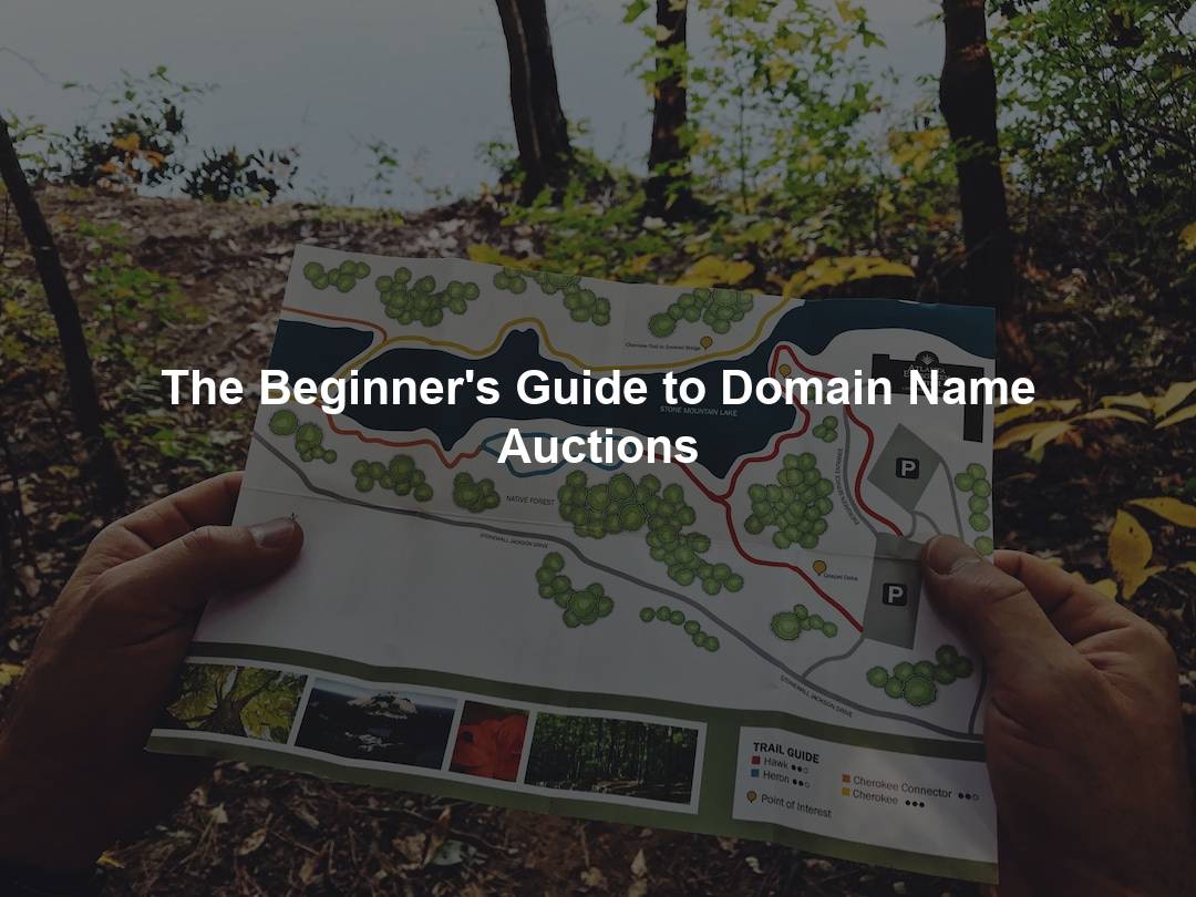 The Beginner’s Guide to Domain Name Auctions – Domain Nexus
