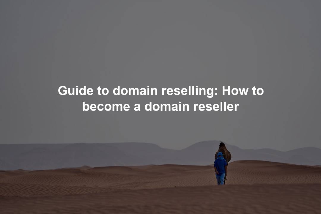 Guide to domain reselling: How to become a domain reseller – Domain Nexus