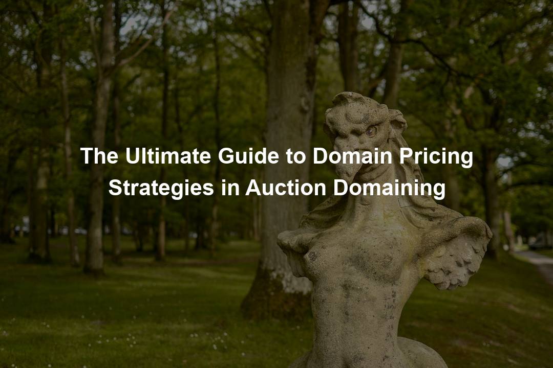 The Ultimate Guide to Domain Pricing Strategies in Auction Domaining ...
