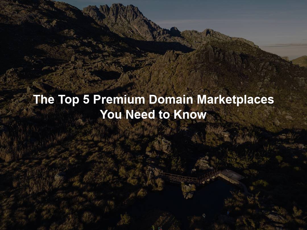 The Top 5 Premium Domain Marketplaces You Need to Know – Domain Nexus