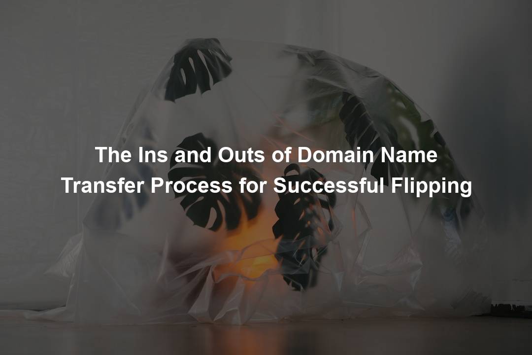 The Ins And Outs Of Domain Name Transfer Process For Successful